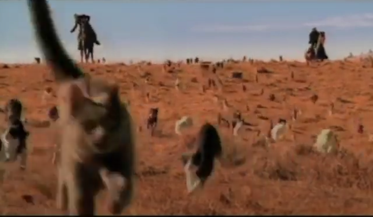 Photosynthesis and Energy Stores – e=mc2andallthat